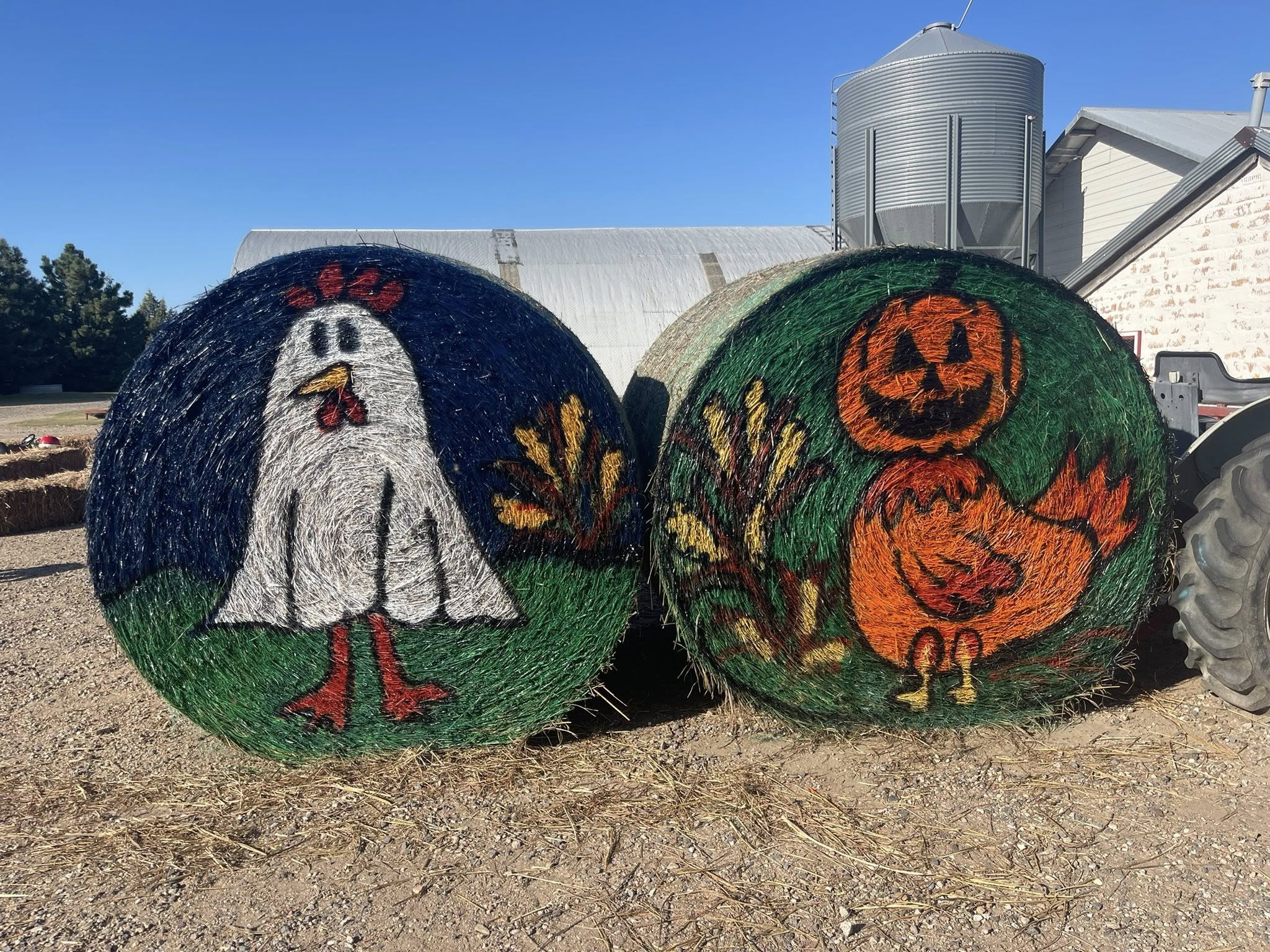 Social | Jack Creek Pumpkin Patch